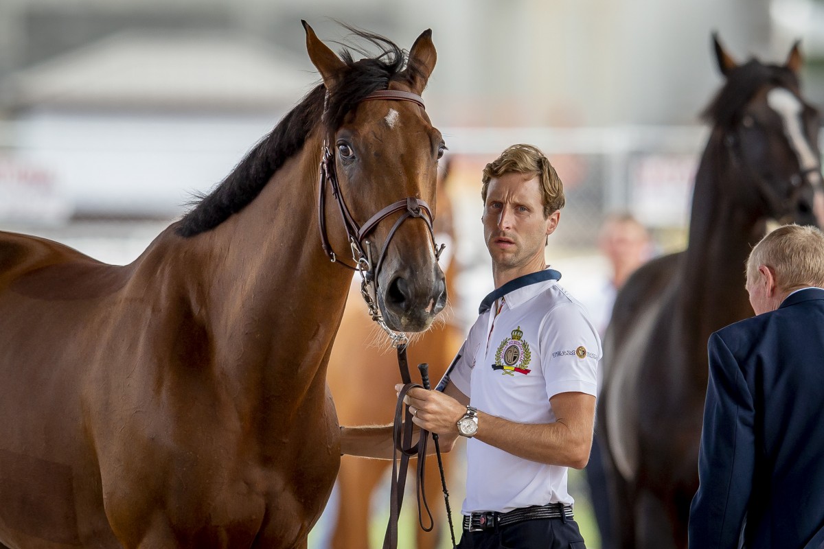 Devos Stables - About